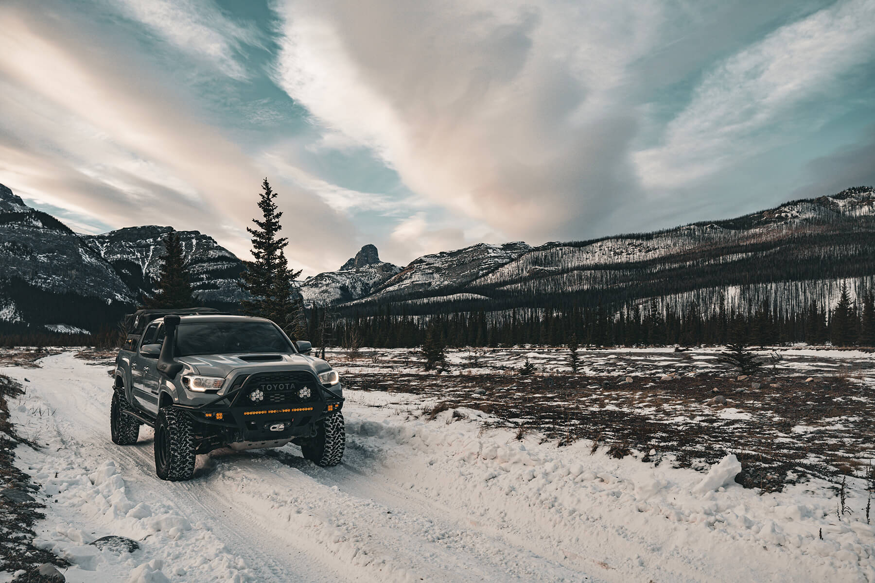 Bad Ass Builds: Alex Abbott | DECKED®