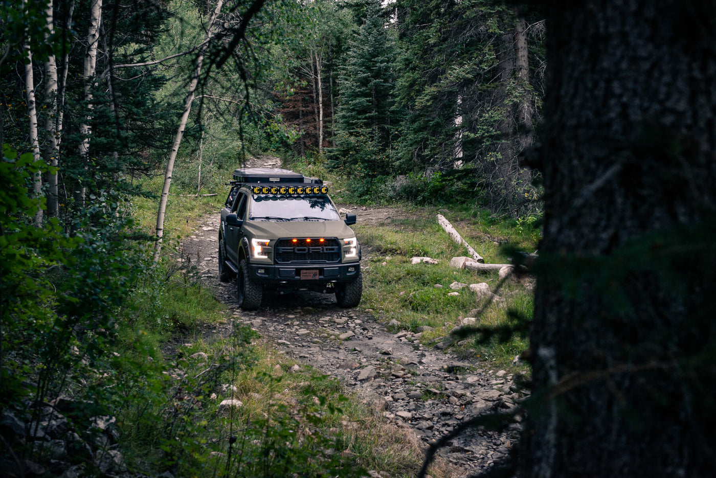 Build of the Month: Lucas O'Hara's Kodiak | DECKED®