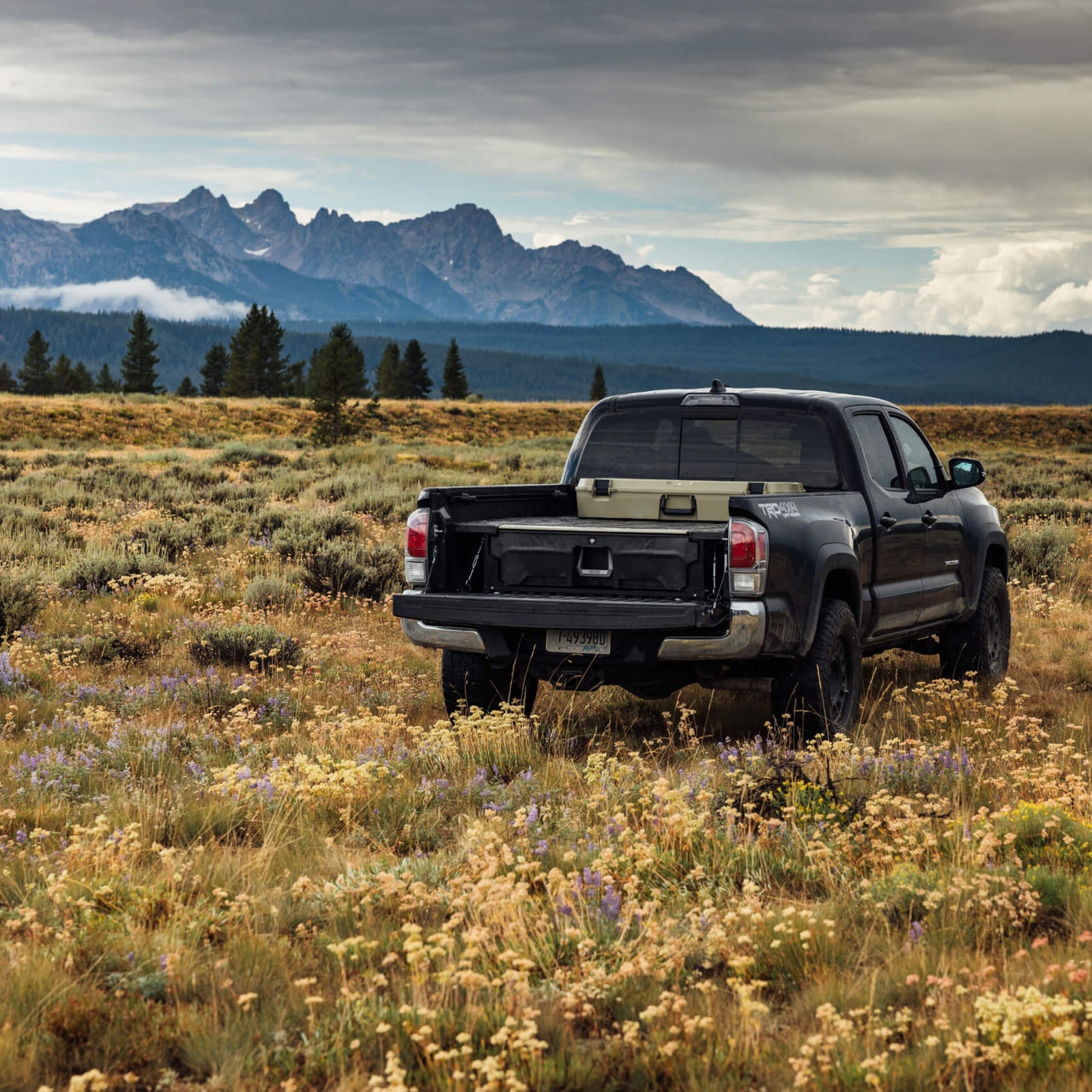 DECKED Dimensions & Technical Specifications